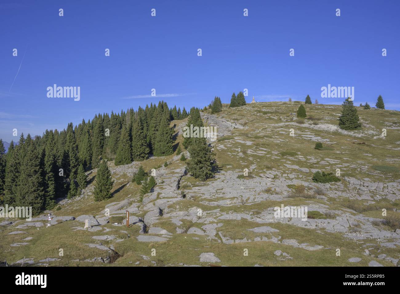 Trenches in karst rock from the First World War, circular hike Monte ...