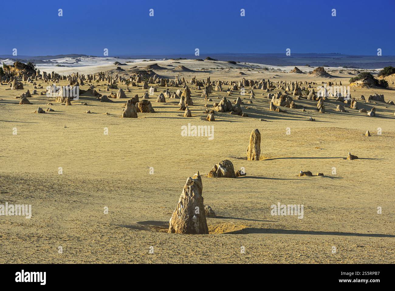 Pinnacles Desert, Nambung National Park, Kalbarri Region, Western ...