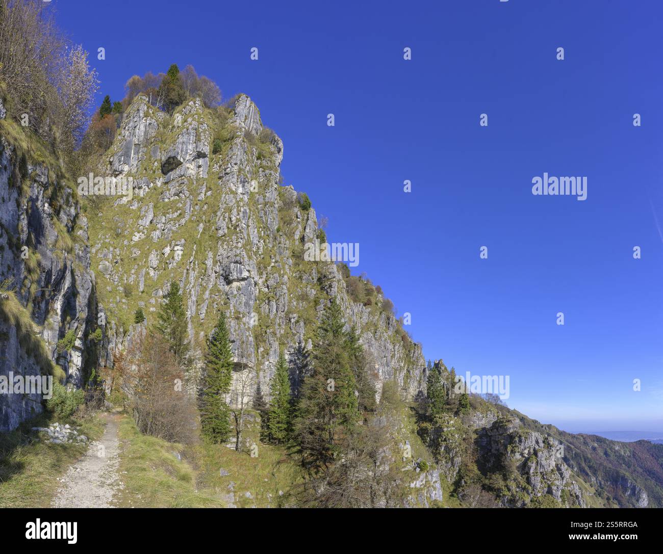 Meatte hiking trail leads along a war road from the First World War ...