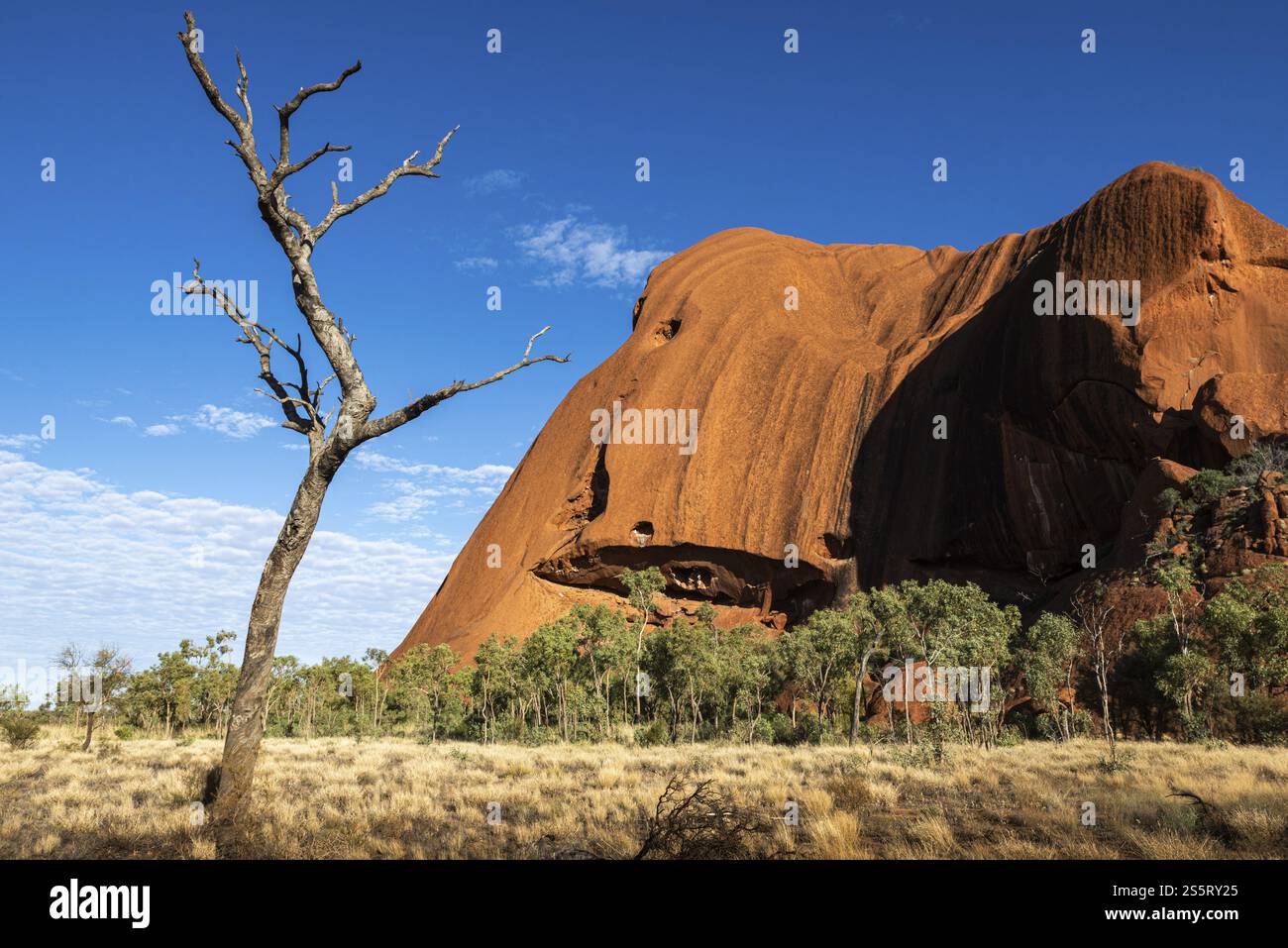 Uluru, formerly Ayers Rock, partial view, Pulari Region, Uluru-Kata ...