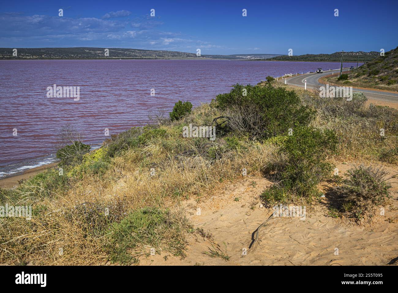 Pink Lake, Port Gregory, Western Australia, Australia, Oceania Stock ...