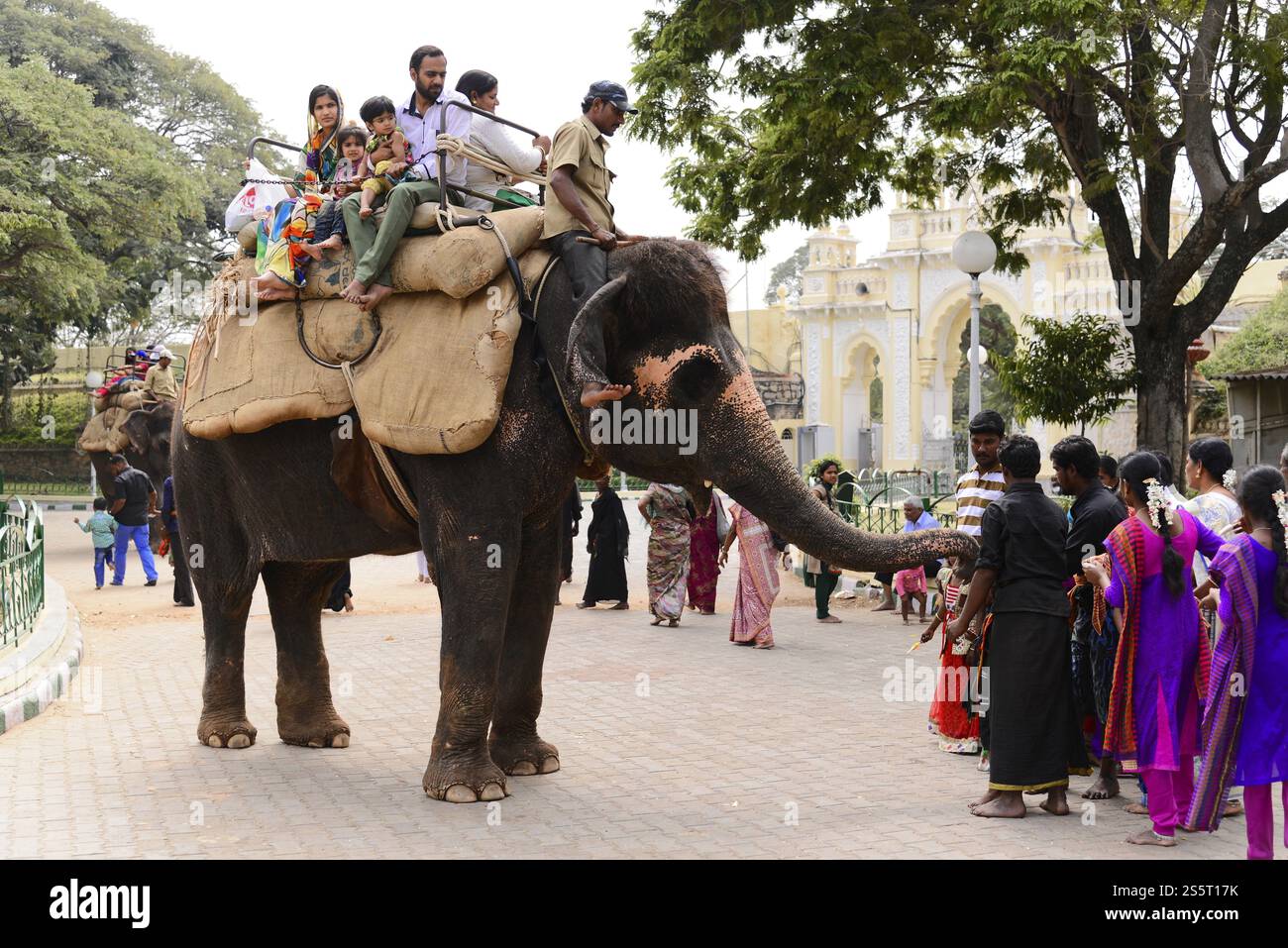 Elephant ride, Tourists, Palace of Mysore, Mysore, Karnataka, South ...