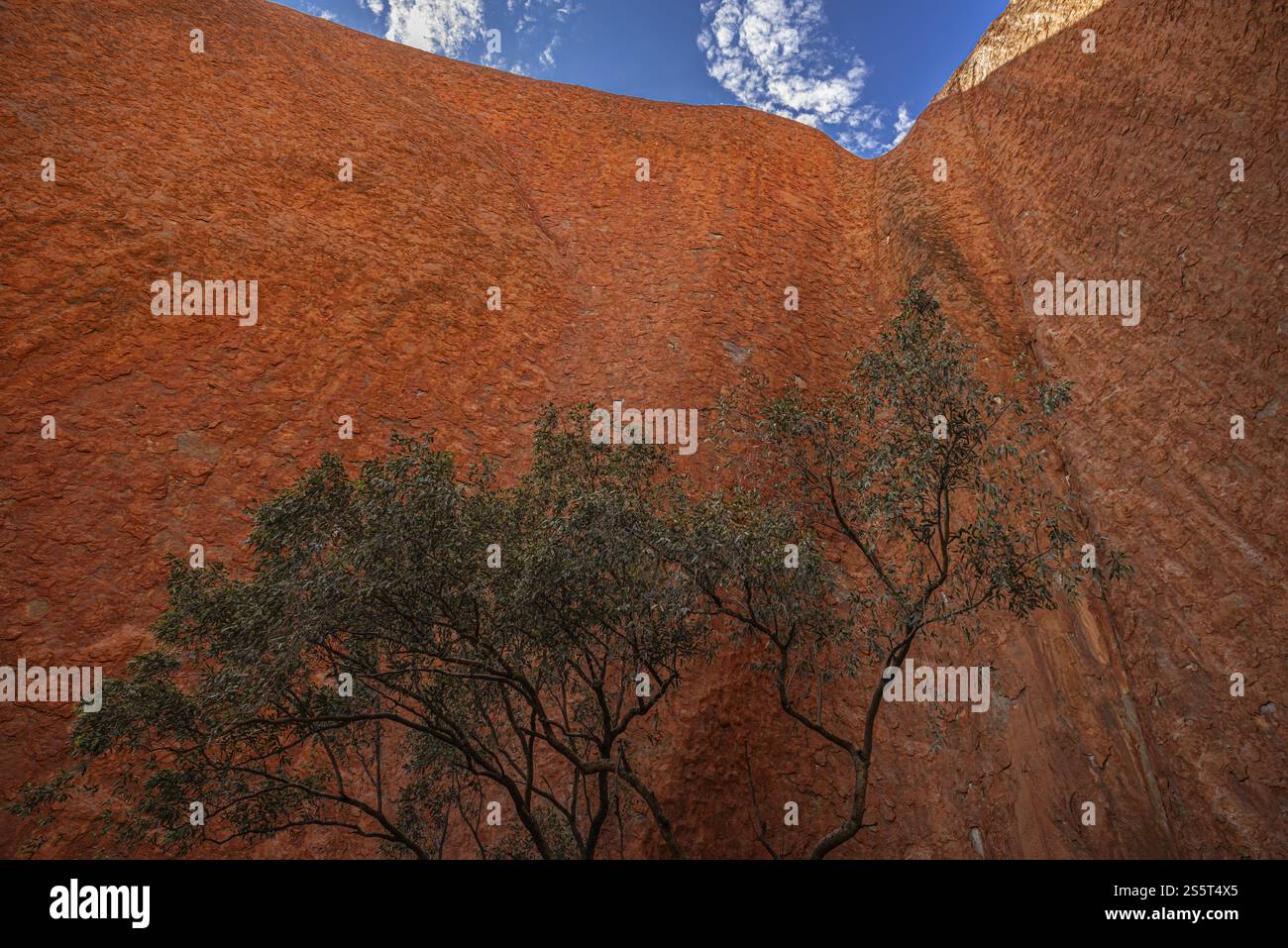 Uluru, formerly Ayers Rock, partial view, Uluru-Kata Tjuta National ...