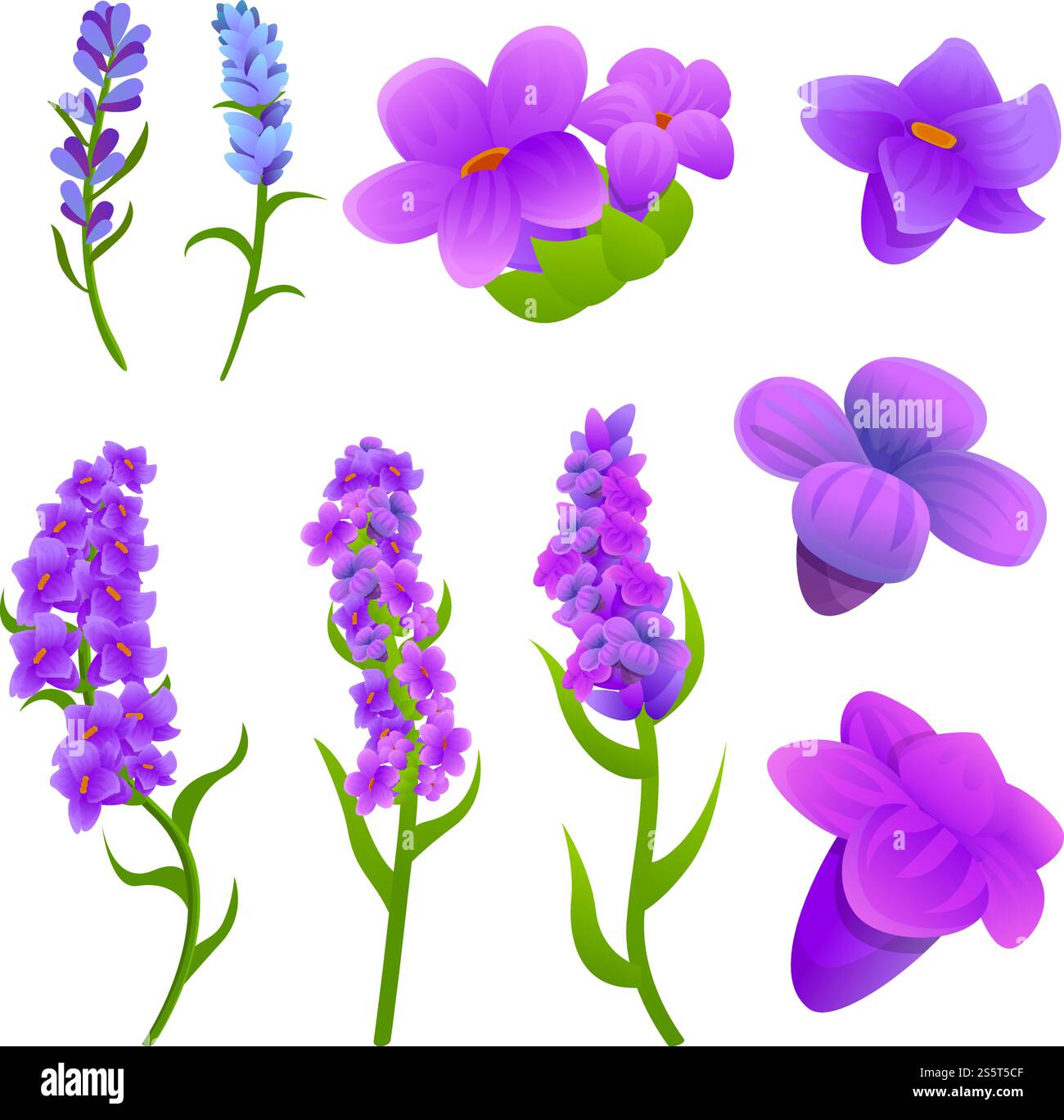 Lavender icons set. Cartoon set of lavender vector icons for web design ...