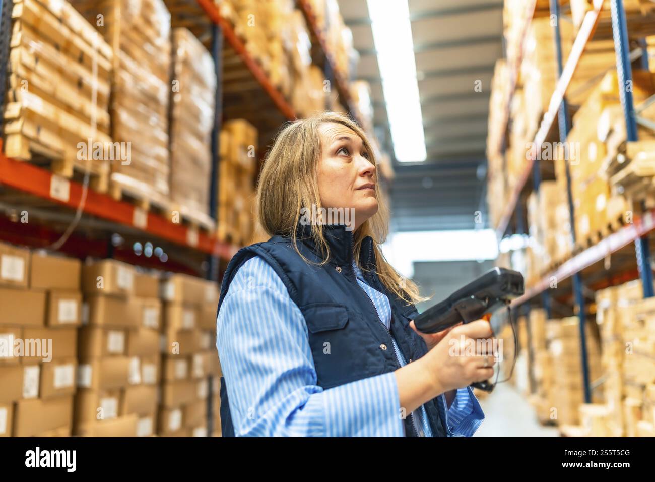 Woman scanning parcels doing inventory while working in a distribution ...