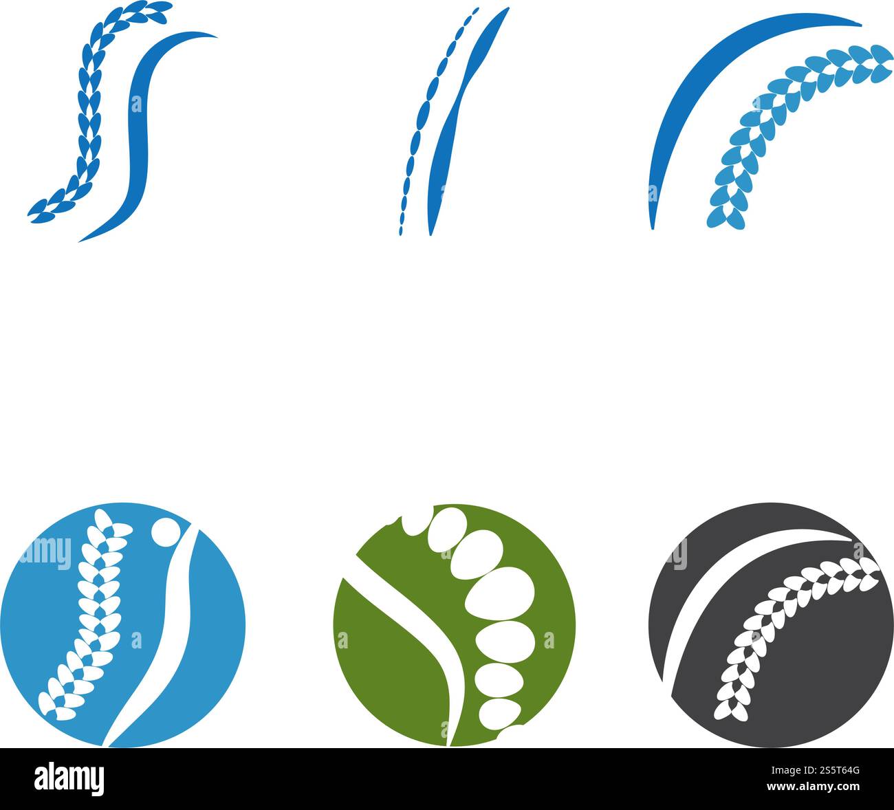 Spine logo diagnostics symbol design Stock Vector Image & Art - Alamy