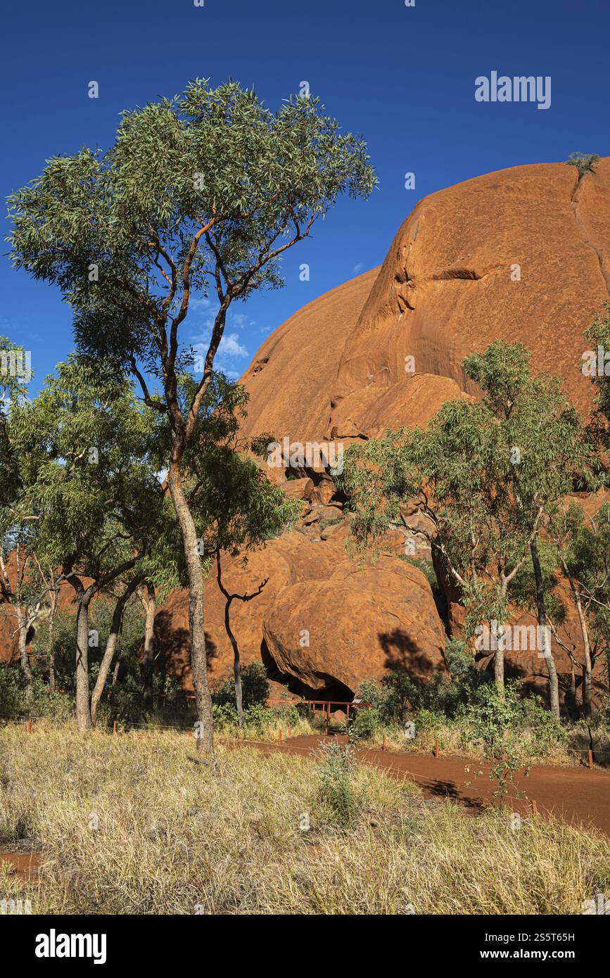 Uluru, formerly Ayers Rock, partial view, Pulari Region, Uluru-Kata ...