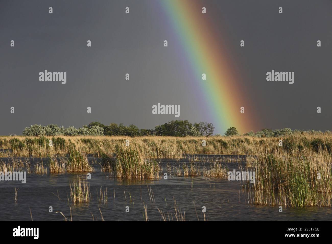 Lake Neusiedl National Park, rainbow Stock Photo - Alamy
