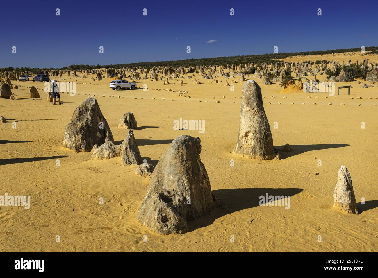 Pinnacles Desert, Nambung National Park, Kalbarri Region, Western ...