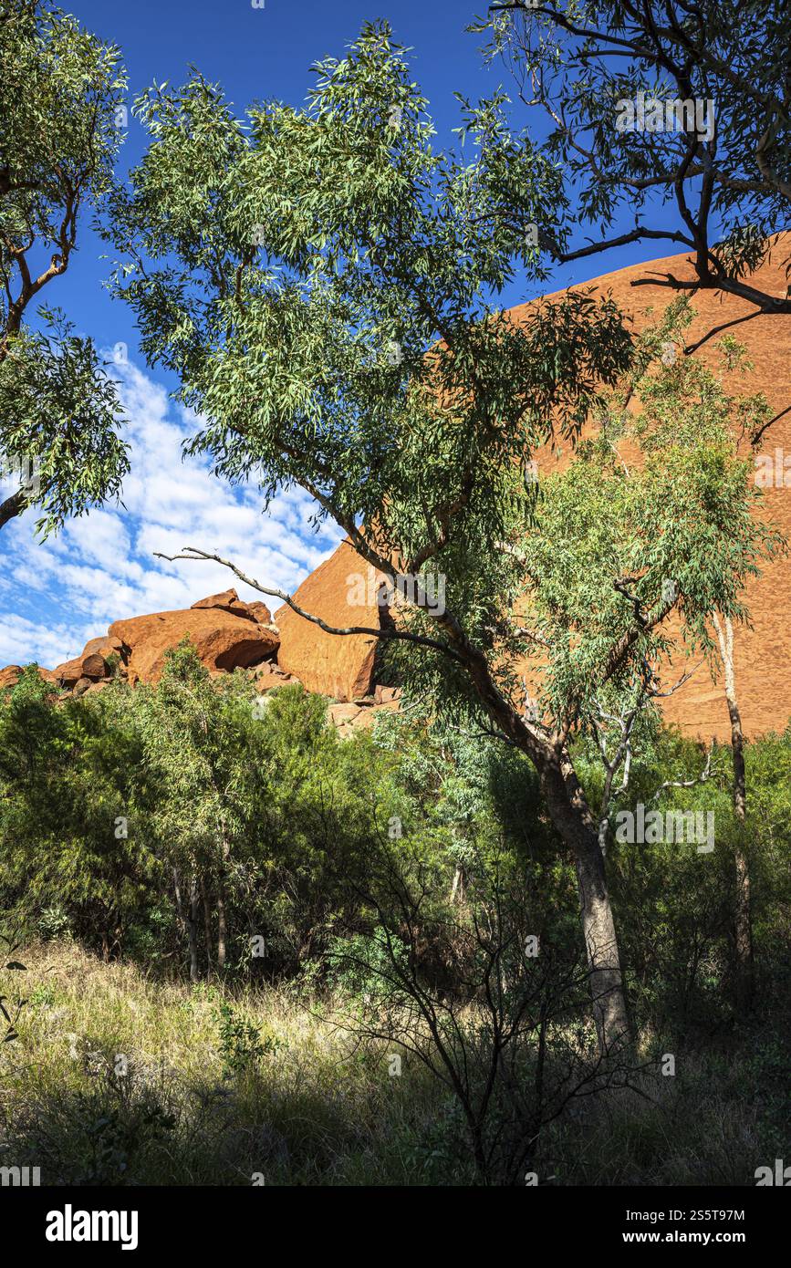 Uluru, formerly Ayers Rock, partial view, Uluru-Kata Tjuta National ...