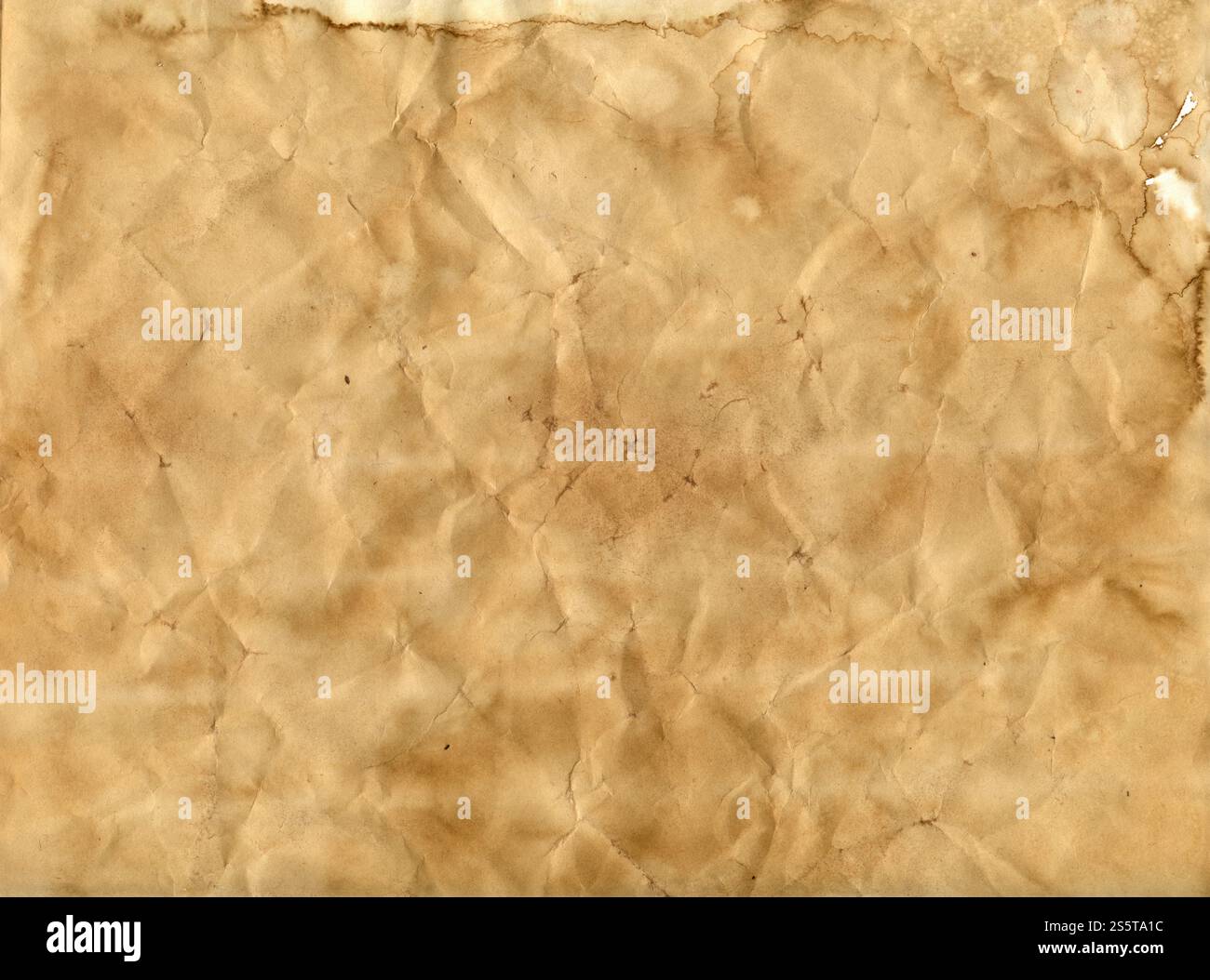 Old grunge parchment paper texture. Vintage background wallpaper. Old ...