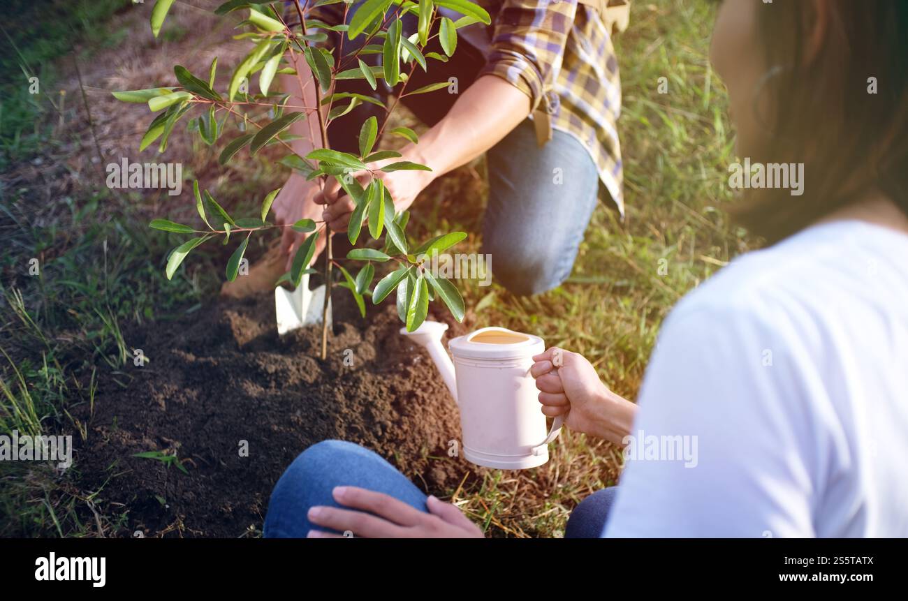 young man gardener, planting tree in garden, gardening and watering ...