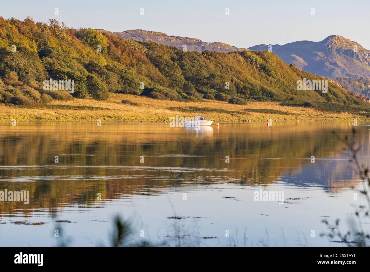 Scotland, Ardfern, Loch Craignish Stock Photo - Alamy