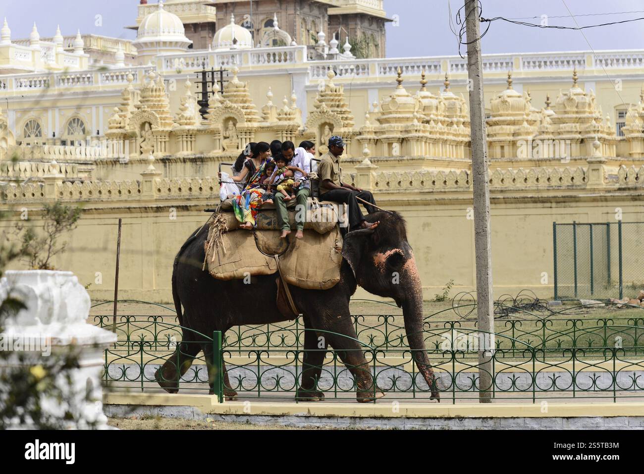 Elephant ride, tourists, palace of Mysore, Mysore, Karnataka, South ...