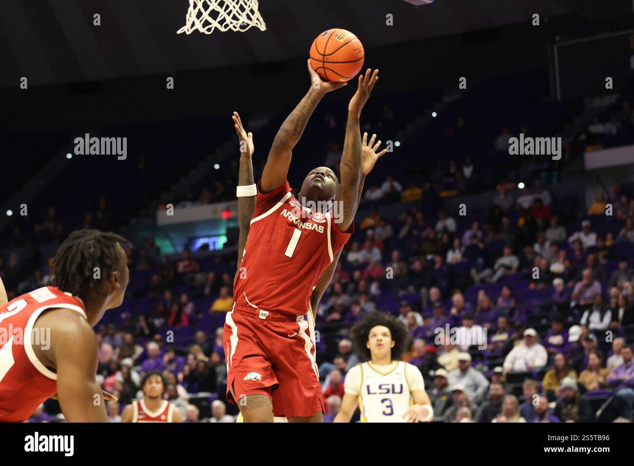 Baton Rouge, United States. 14th Jan, 2025. Arkansas Razorbacks guard ...