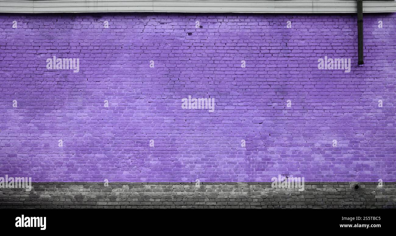 The texture of the brick wall of many rows of bricks painted in violet ...