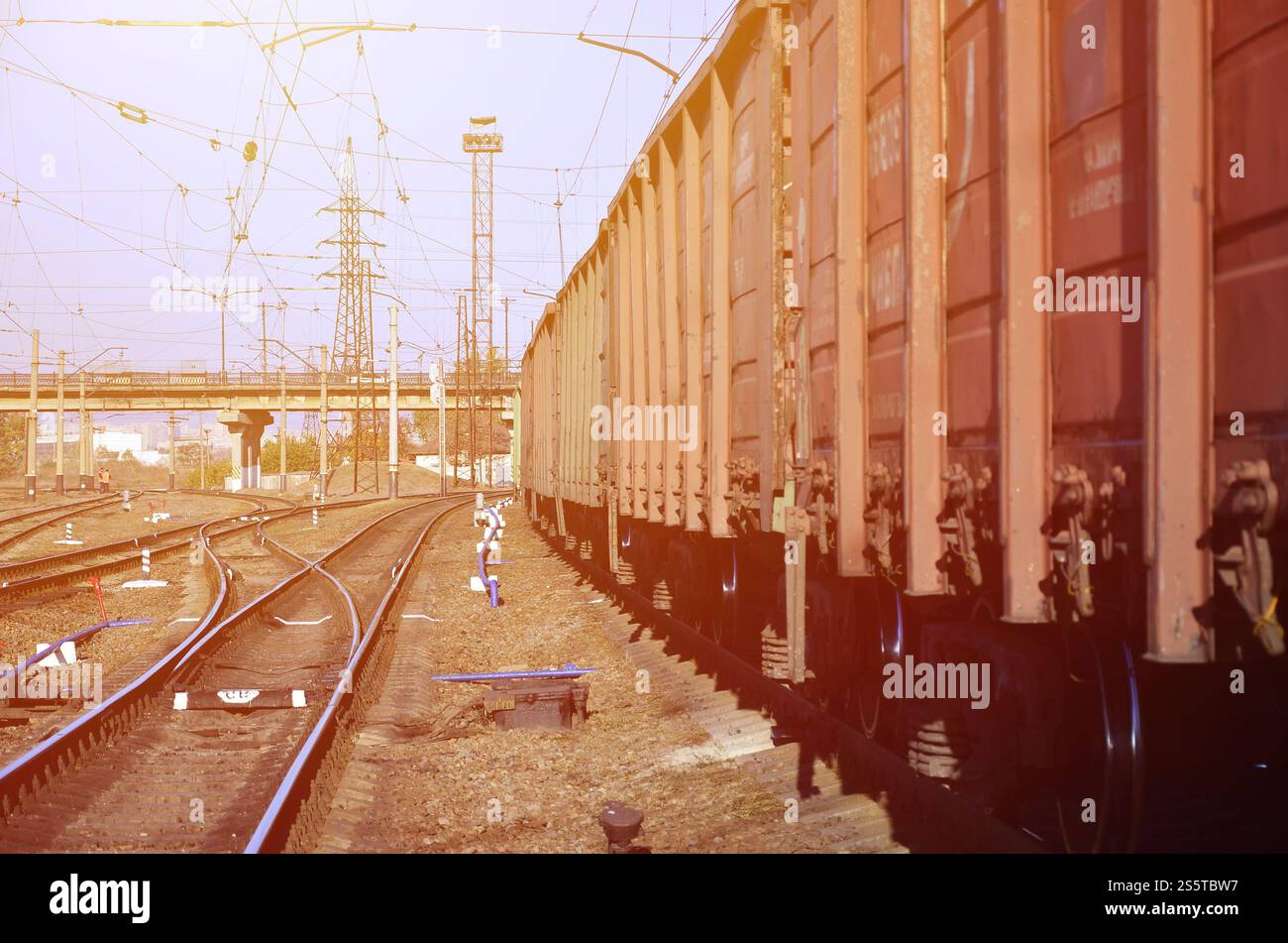 Railway landscape. Many railroad cars and tanks standing in rails ...