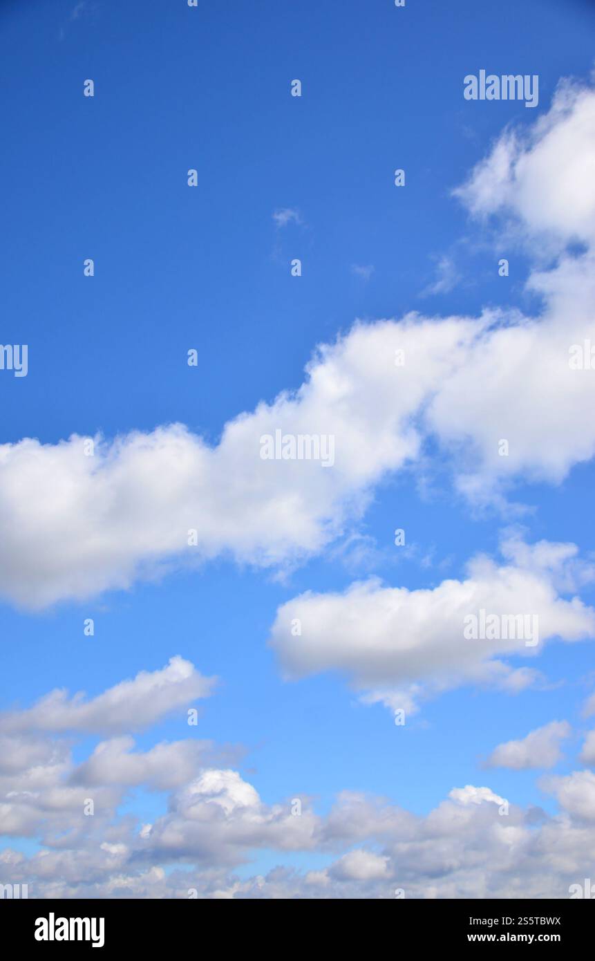 A photo of a bright and shiny blue sky with fluffy and dense white ...