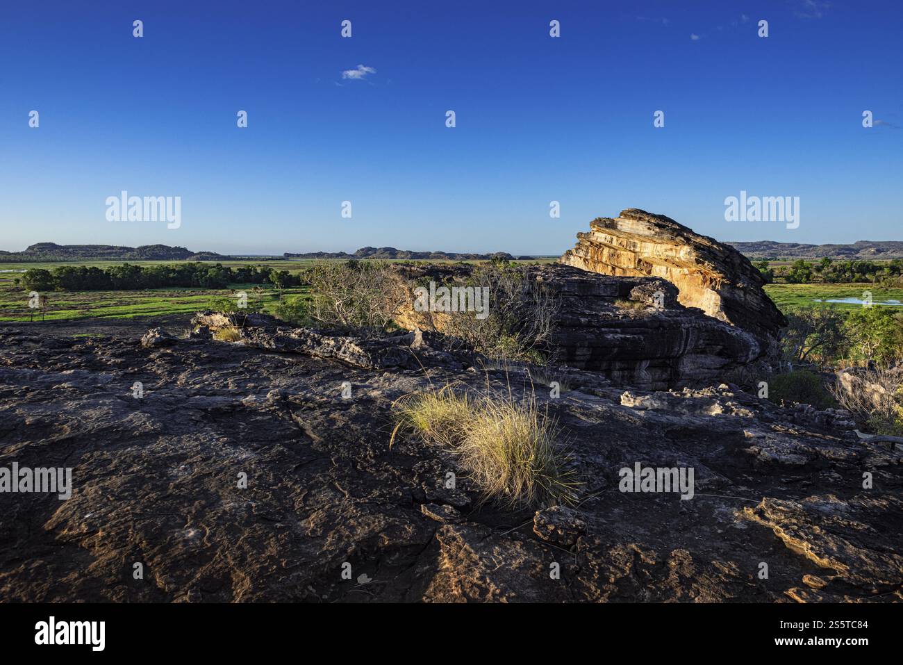 View of the Nadab Floodplains from Nadab Lookout, Ubirr, Kakadu National Park, East Alligator ...