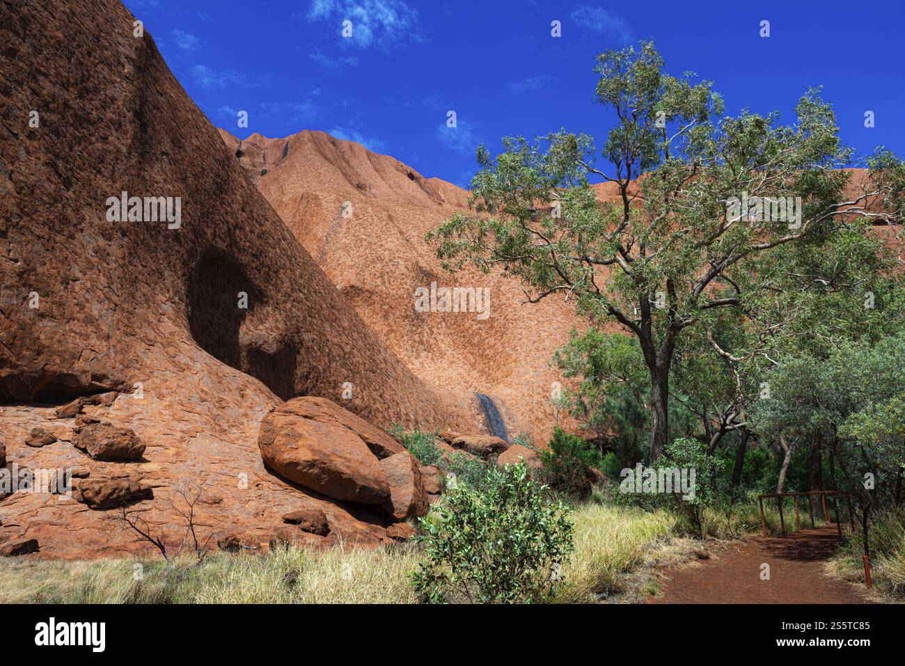 Uluru, formerly Ayers Rock, landscape at Mala Walk, Uluru-Kata Tjuta ...
