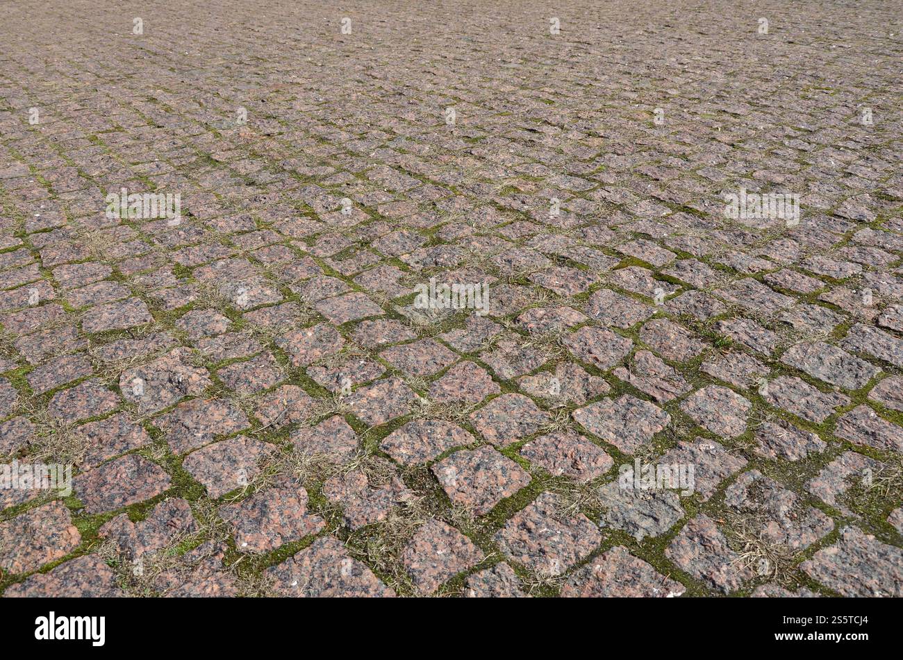A large area, laid out of paving stone in perspective. Detailed photo ...