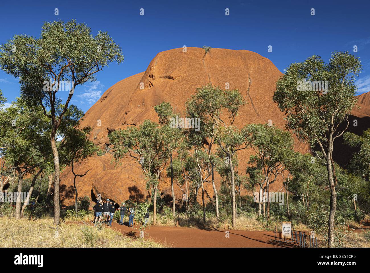 Uluru, formerly Ayers Rock, partial view, Pulari Region, Uluru-Kata ...