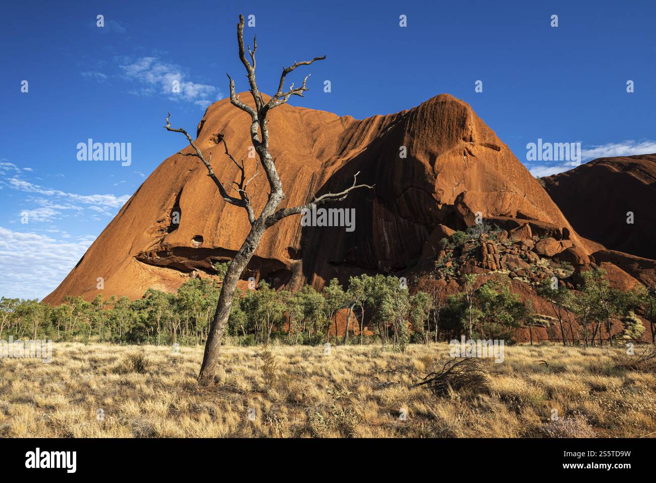 Uluru, formerly Ayers Rock, partial view, Pulari Region, Uluru-Kata ...