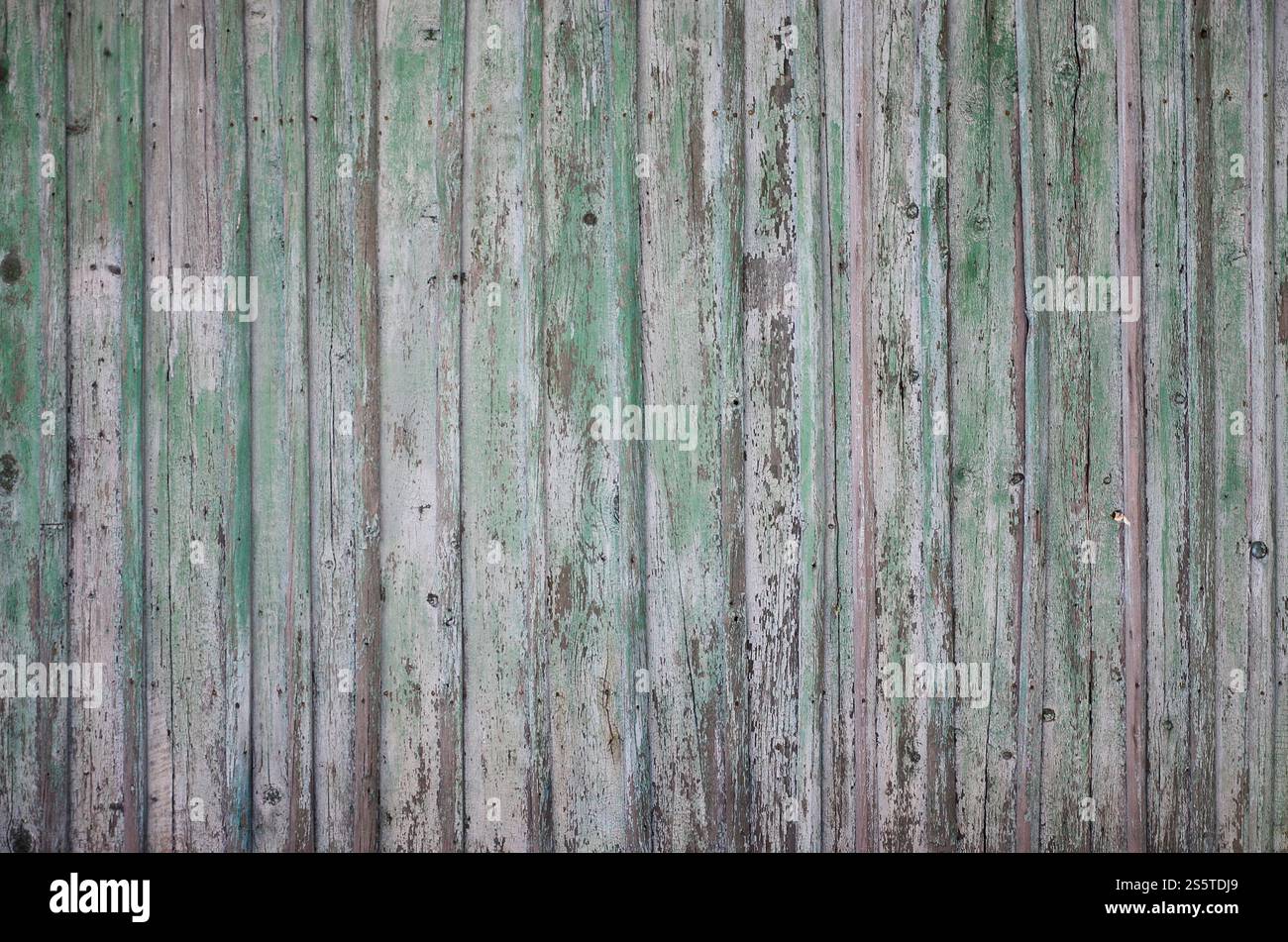 The texture of weathered wood plank fence in daytime outdoors. The ...