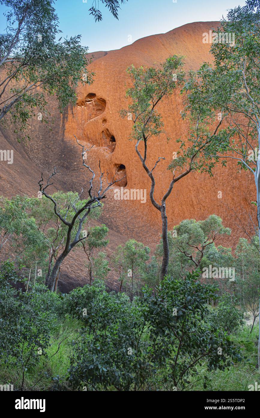 Uluru, formerly Ayers Rock, partial view, Uluru-Kata Tjuta National ...