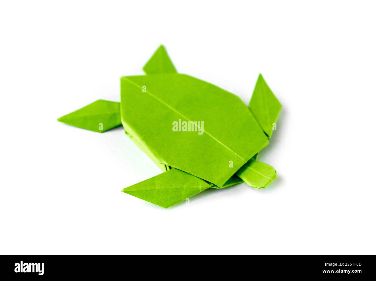 Green paper turtle origami isolated on a blank white background. Green ...