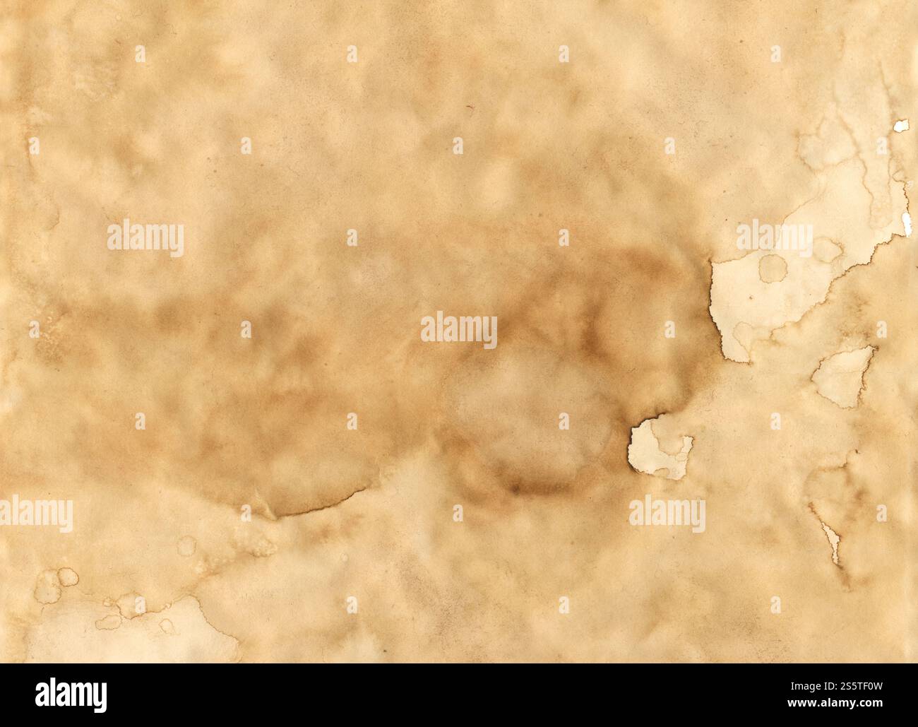 Old grunge parchment paper texture. Vintage background wallpaper. Old ...