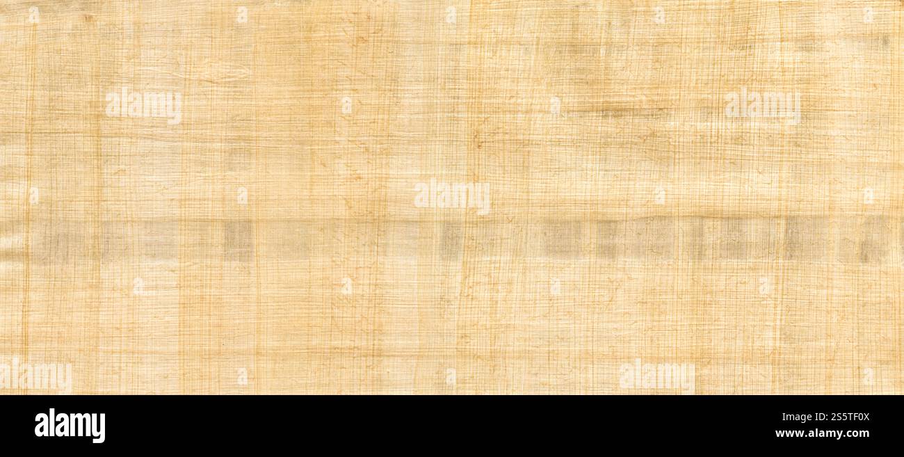 Old brown papyrus background texture. Banner wallpaper. Old papyrus ...