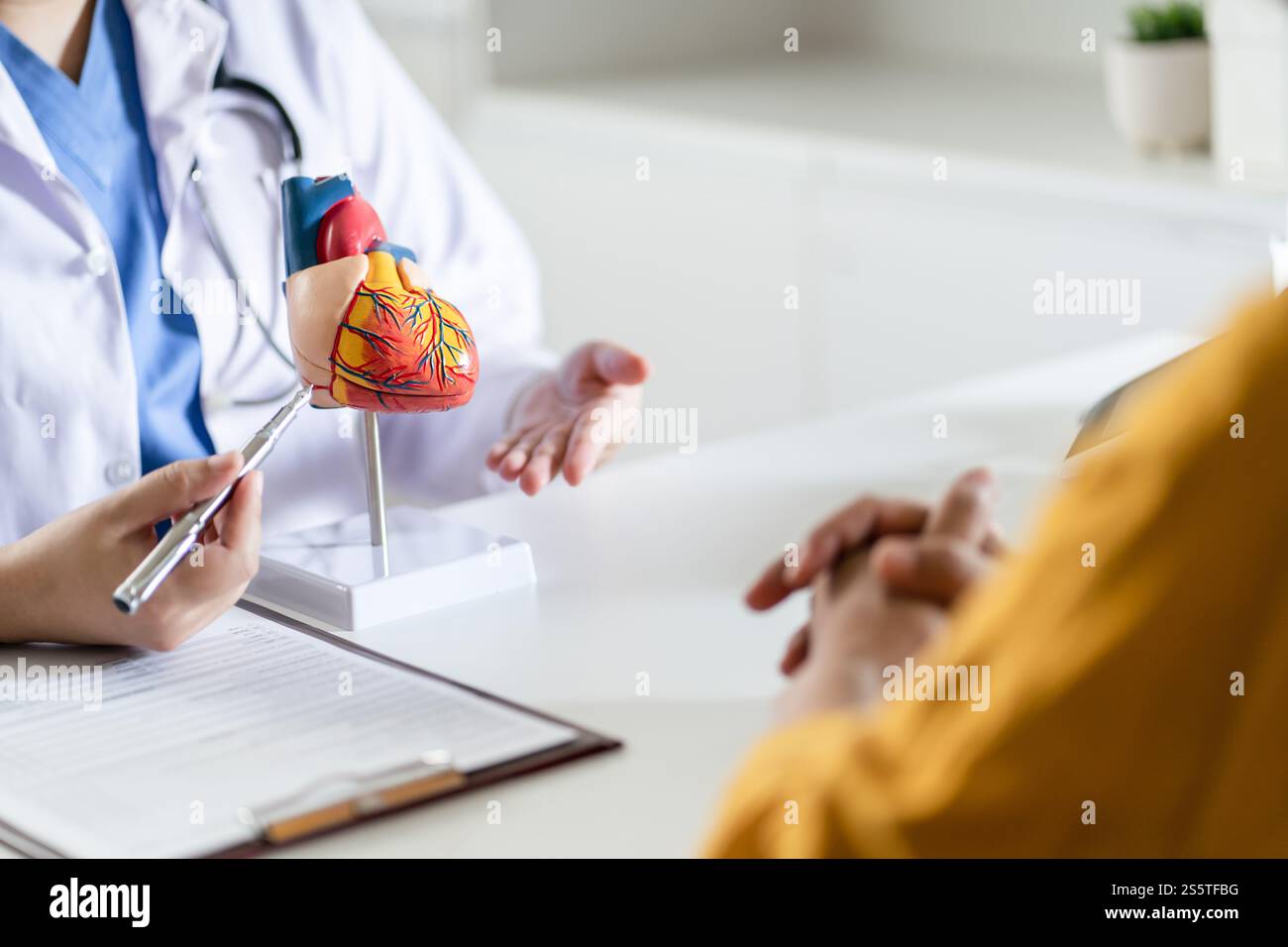 Cardiology Consultation treatment of heart disease. Doctor cardiologist ...