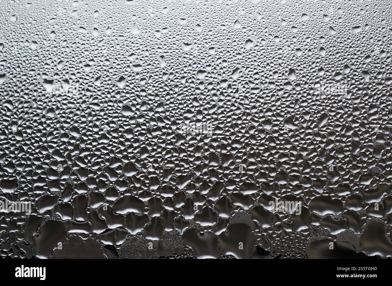 A photo of the glass surface of the window, covered with a multitude of ...