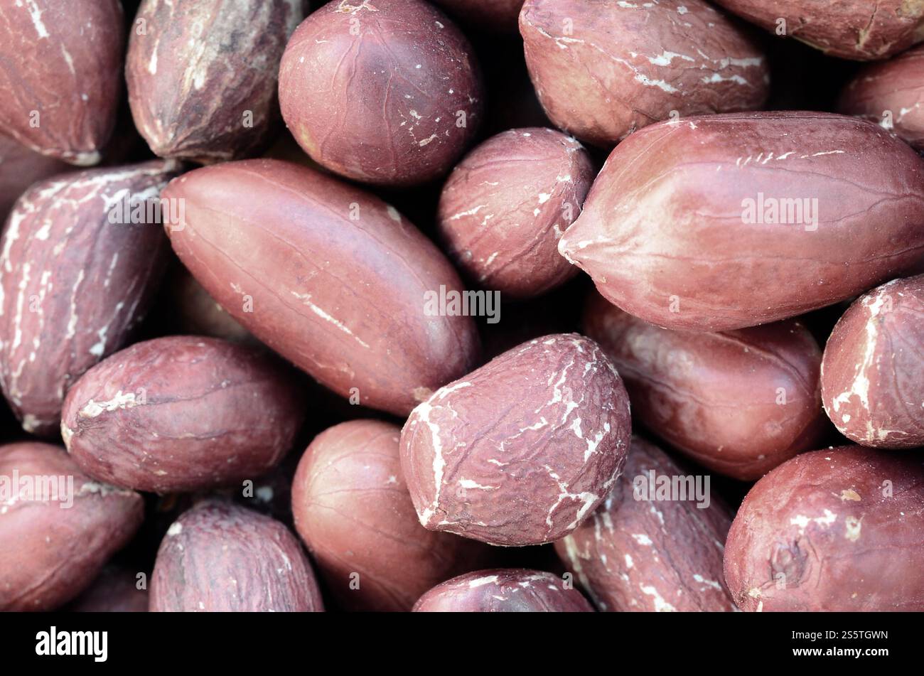 Peanut. A lot of small yellow nuts with brown peel. Background texture ...
