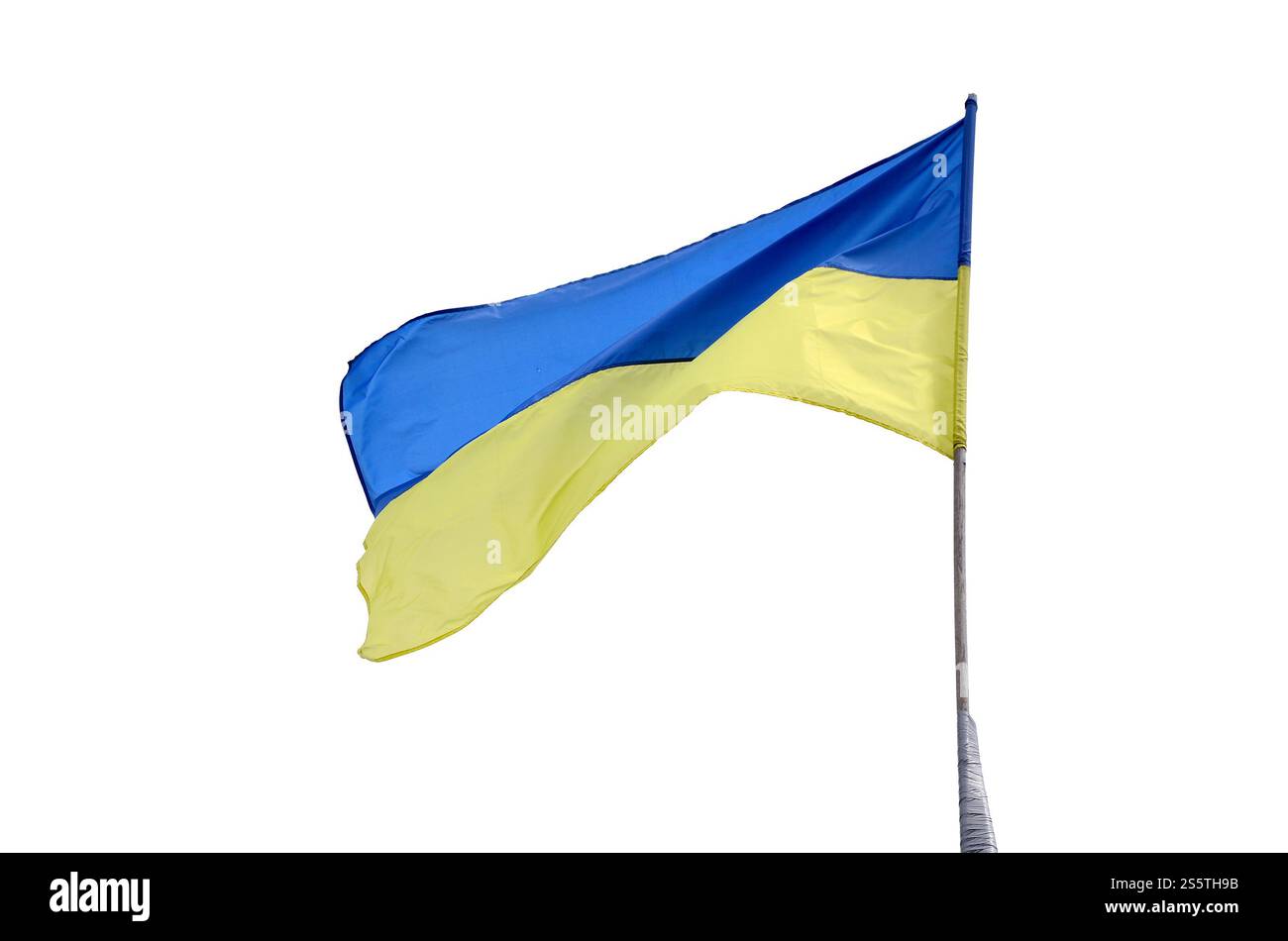 Ukrainian flag fluttering in the wind against white background ...
