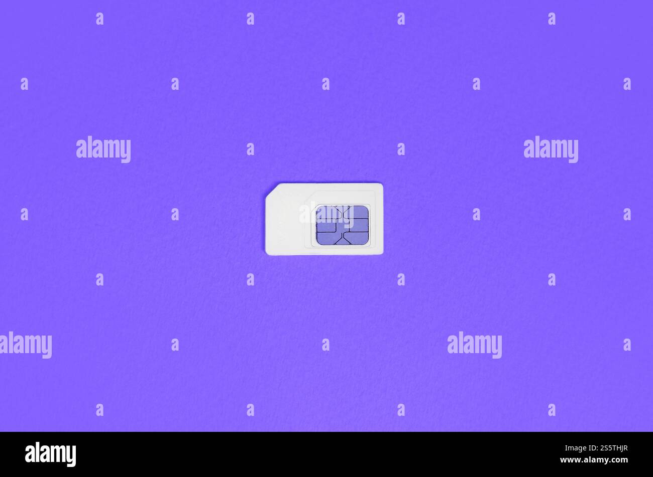 Subscriber identity module. New white SIM card on bright violet color ...