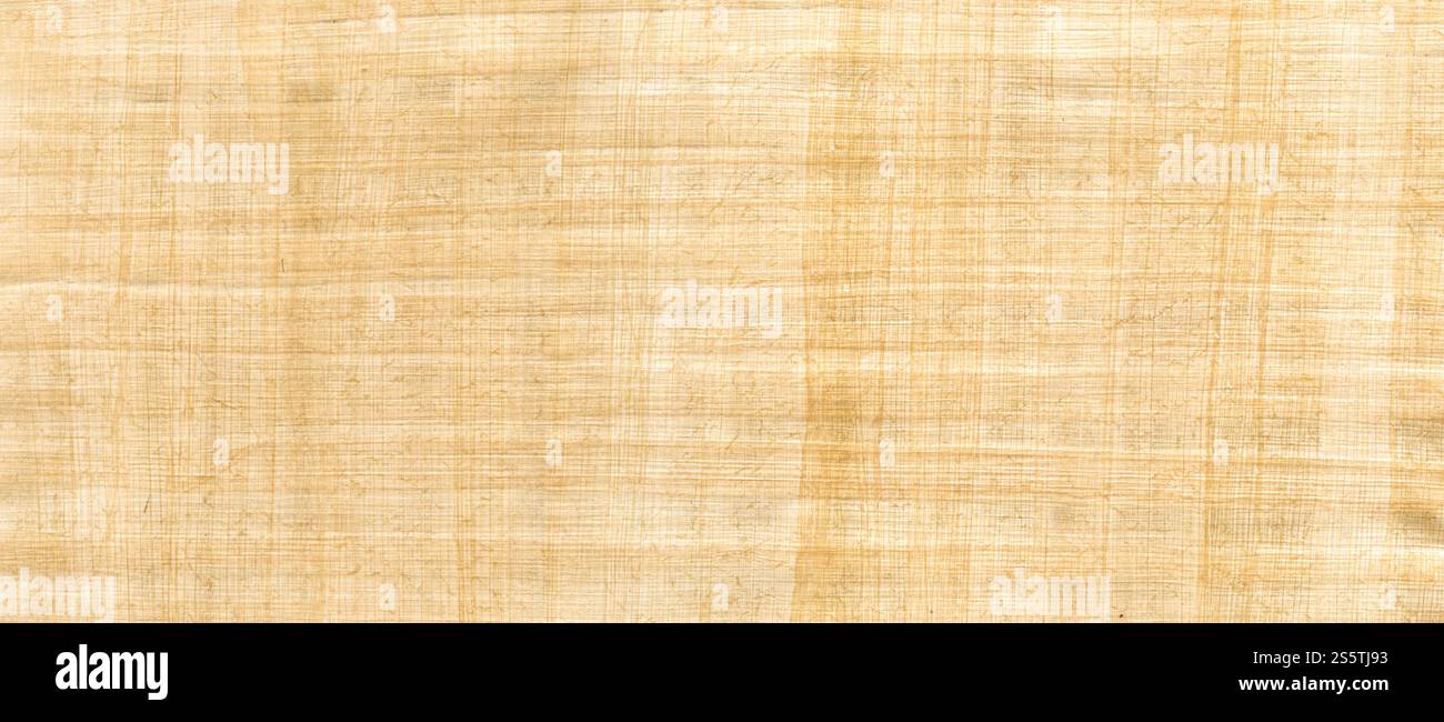 Old brown papyrus background texture. Banner wallpaper. Old papyrus ...