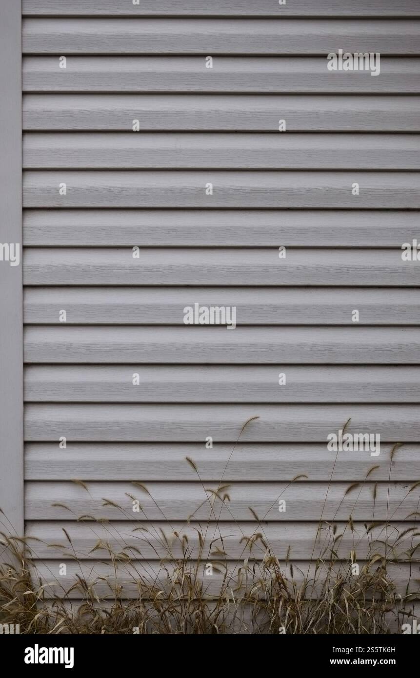 Siding, plastic panels texture closeup in the daytime outdoors. Plastic ...