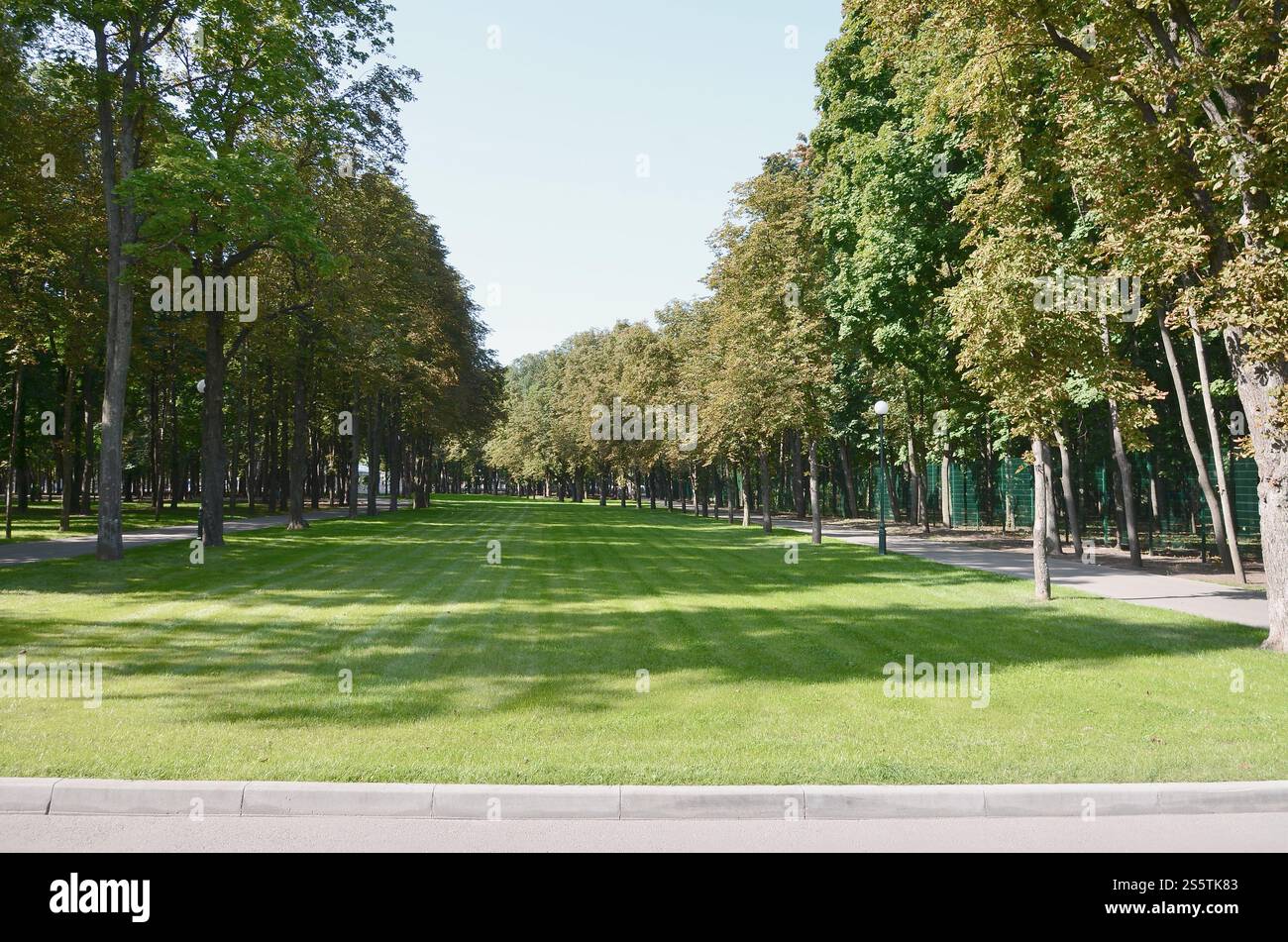 Green park grass trees hi-res stock photography and images - Alamy