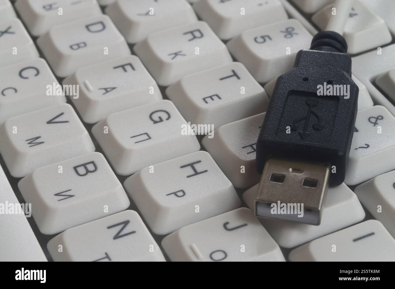 Black USB input on the white classic computer keyboard. USB input on the white keyboard Stock ...