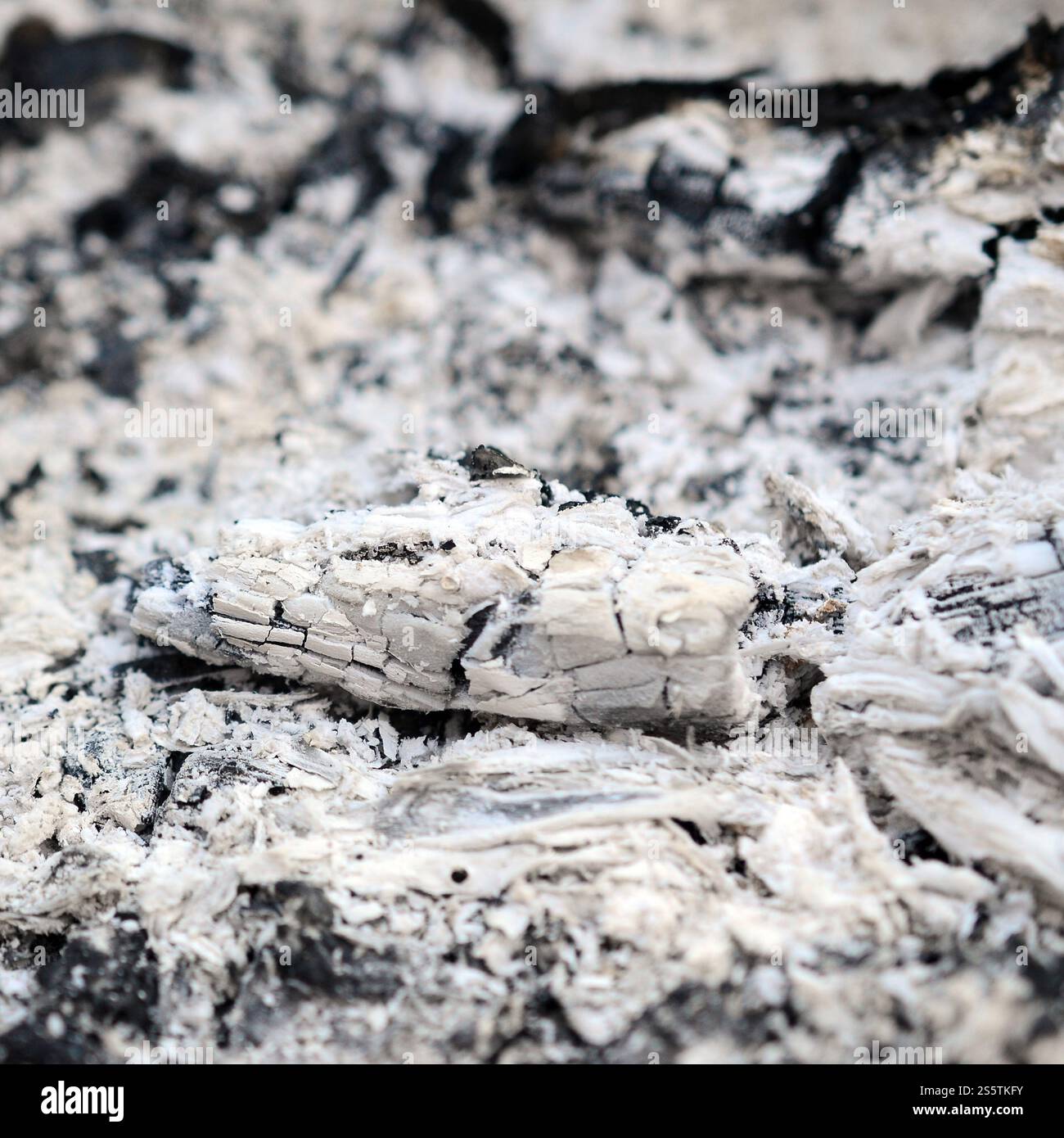 Pile of ashes after the fire went out grunge background texture. Burned ...
