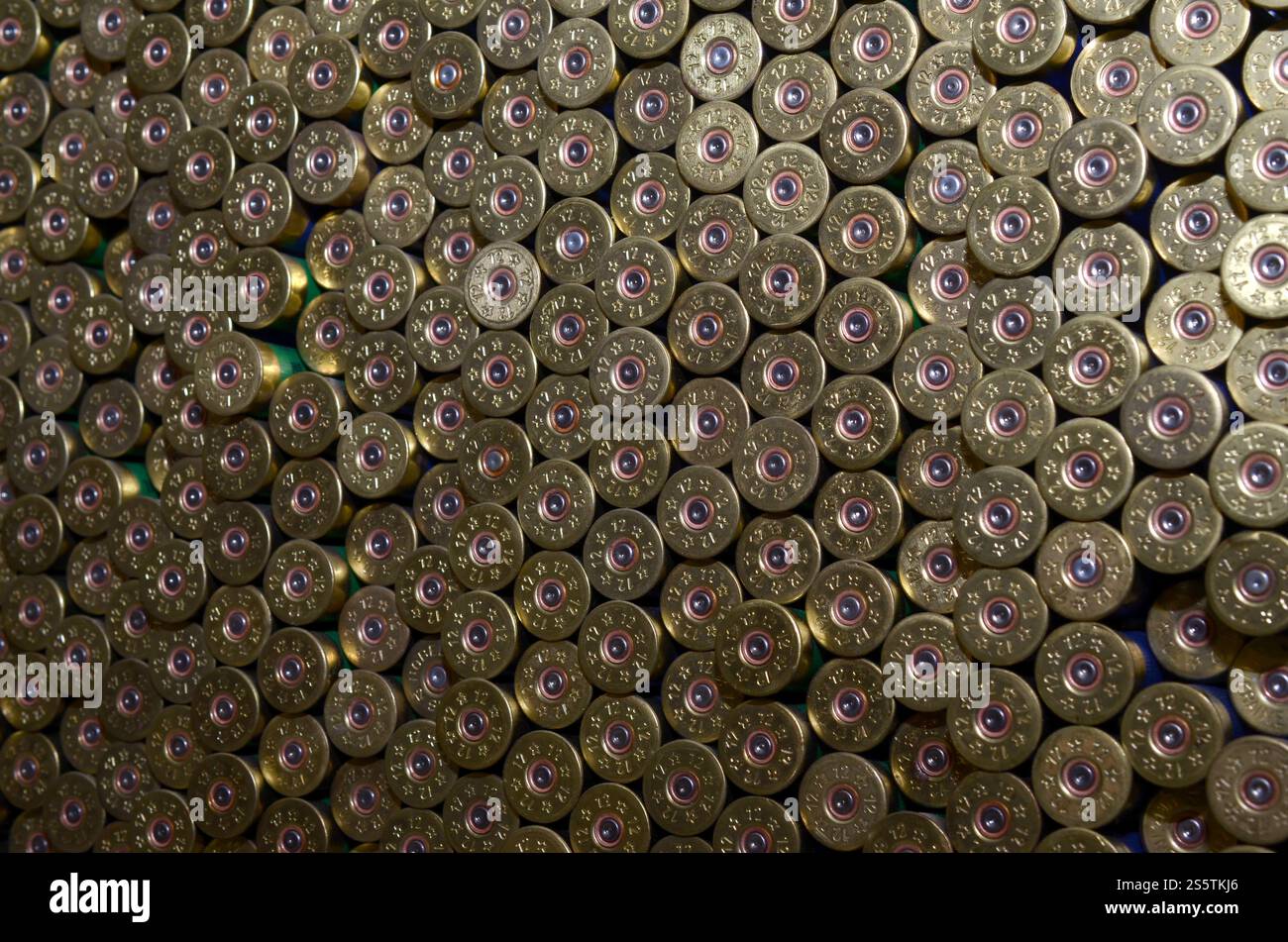 Pattern of 12 gauge cartridges for shotgun bullets. Shells for hunting ...