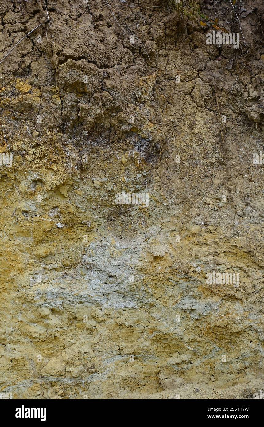 Texture of a wall of solid yellow and brown sand in a sandy quarry ...