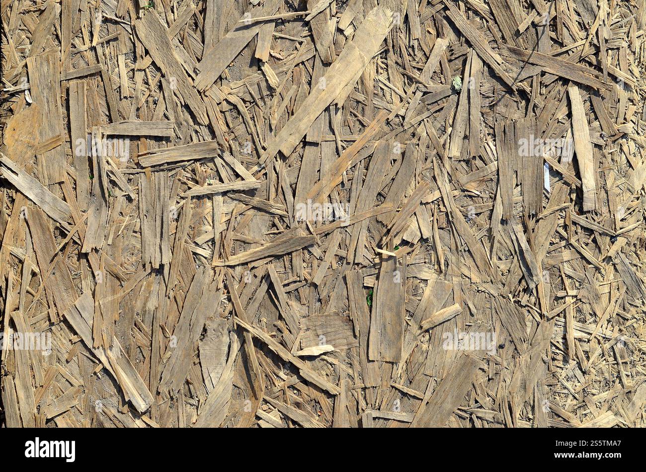Old OSB boards are made of brown wood chips sanded into a wooden ...