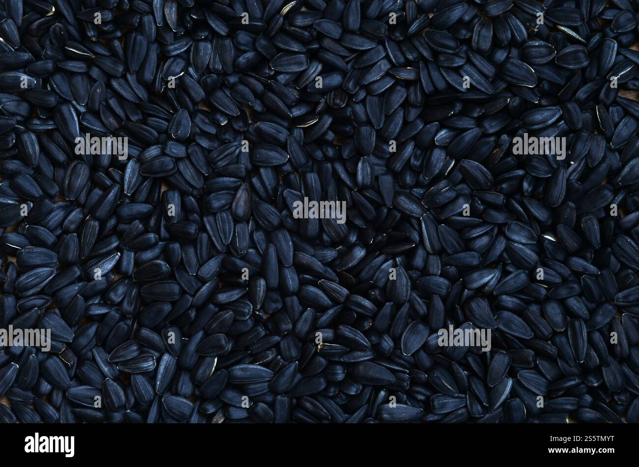 A pattern of many unprocessed fried sunflower seeds in a black shell ...
