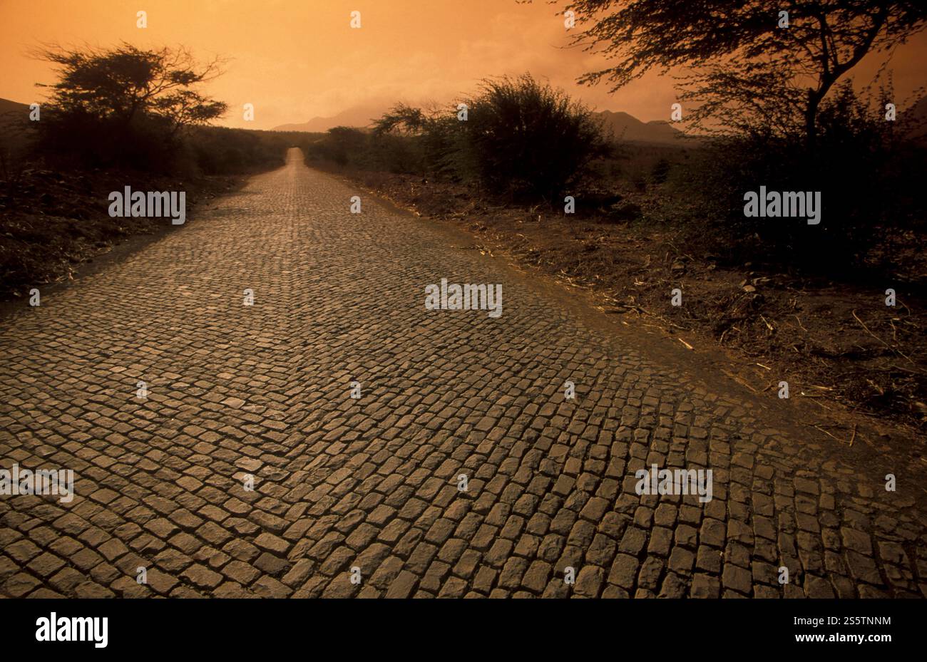 a stone road on the Island of Santo Antao on the Cape Verde Islands in ...