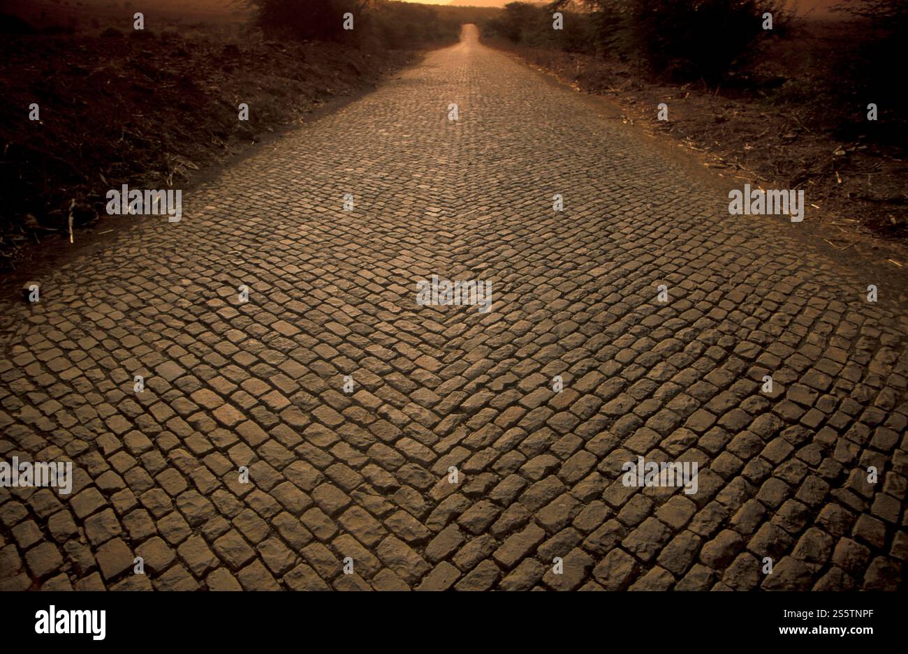 a stone road on the Island of Santo Antao on the Cape Verde Islands in ...