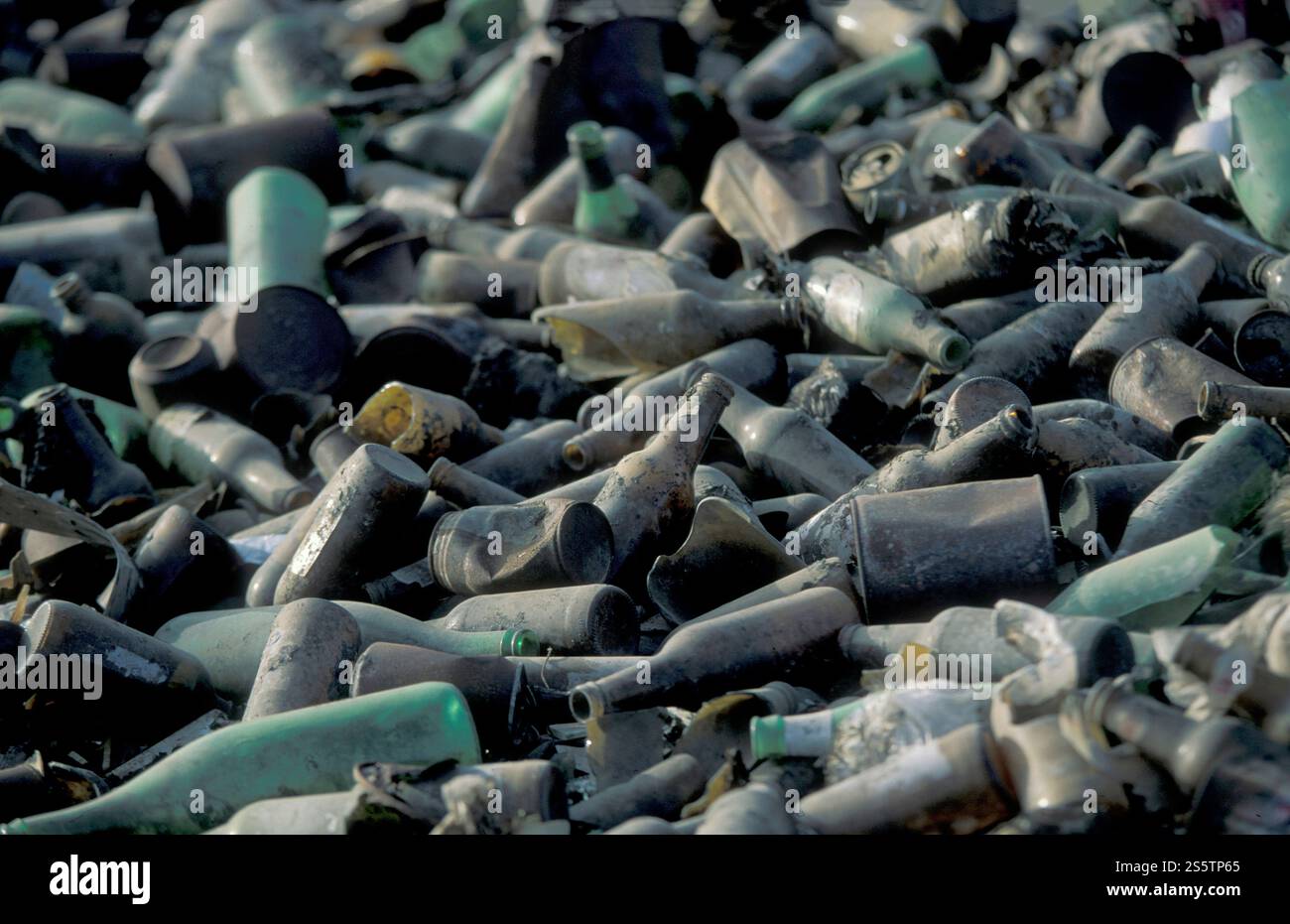 a waste landfill on the Island of Santiago on the Cape Verde Islands in ...