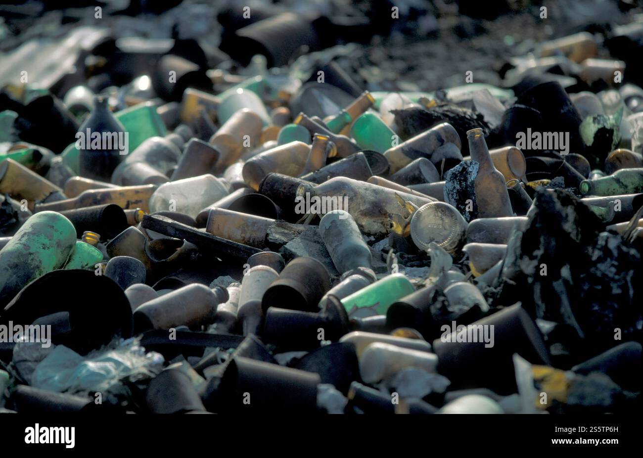 a waste landfill on the Island of Santiago on the Cape Verde Islands in ...